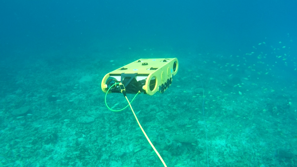 The BUBOT Project – Bubot web site