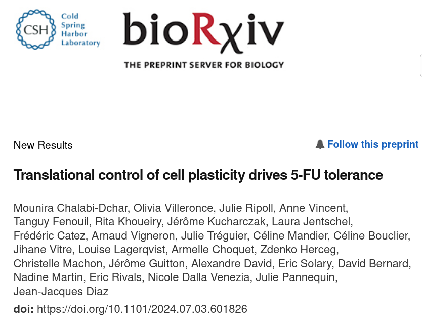 New preprint on resistance to cancer therapy with 5-FU | Eric Rivals' group