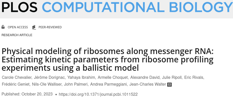 Physical modeling of ribosomes along messenger RNA: Estimating kinetic ...