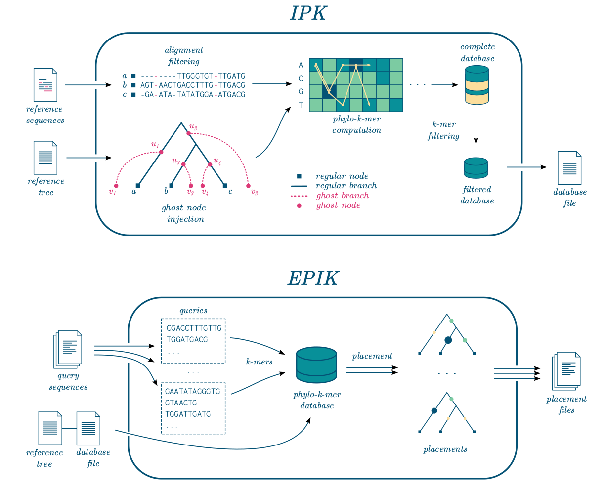 EPIK: Precise and scalable evolutionary placement with informative k ...